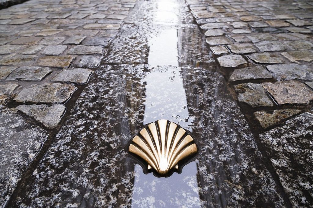 Símbolo-del-camino-de-Santiago – Asociación Profesional de Guías de ...